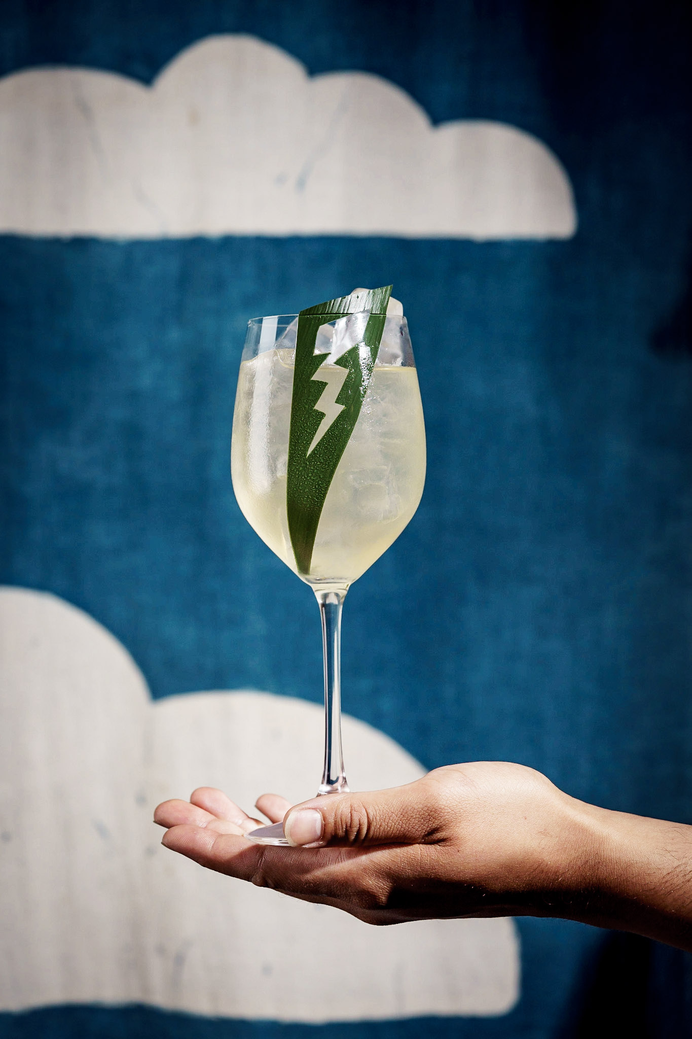 Silver Lyan | Washington DC